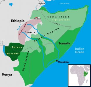 Somali Goat - Breed Profile - Goat Journal